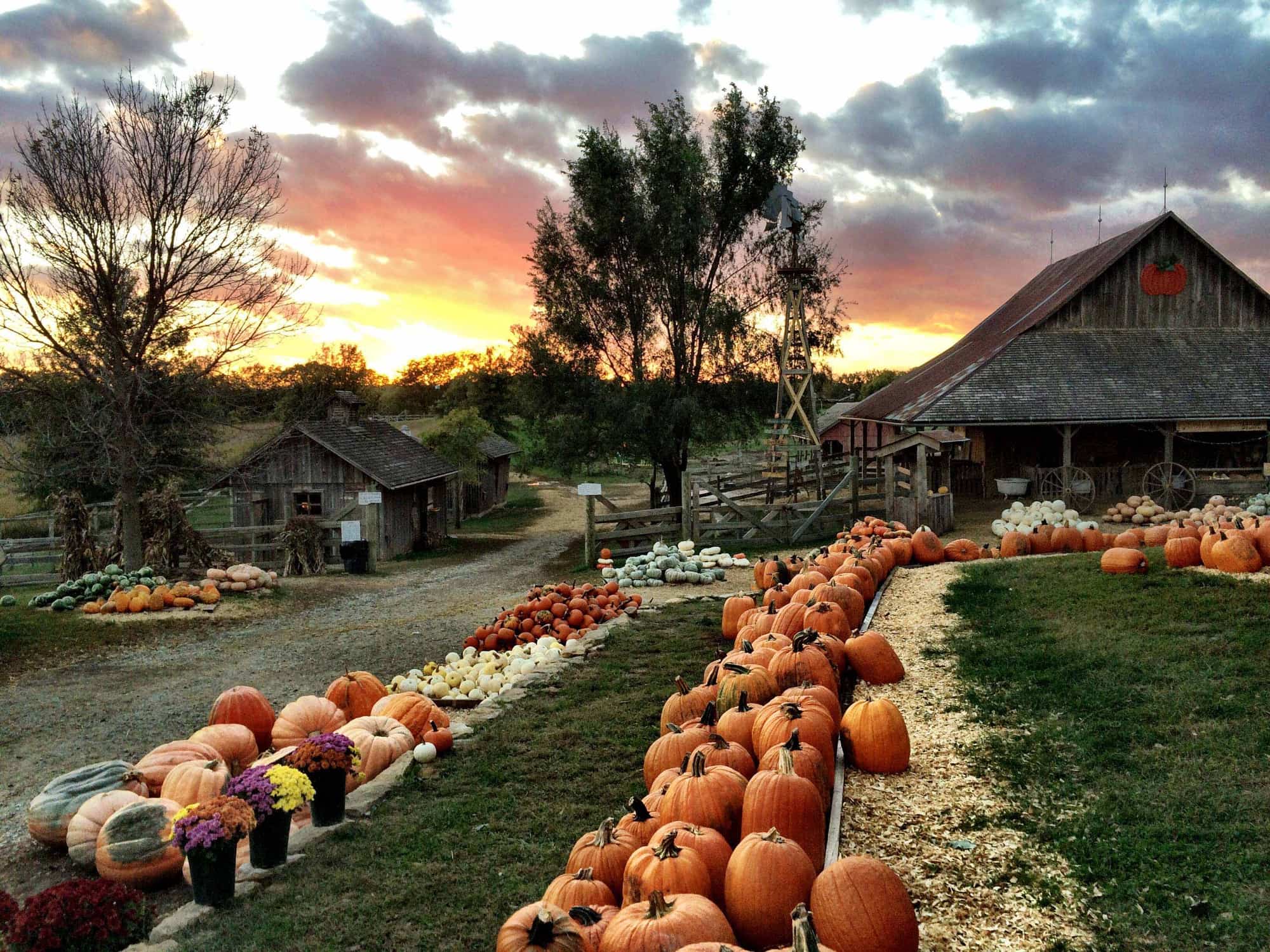 School Tours | Weston Red Barn Farm