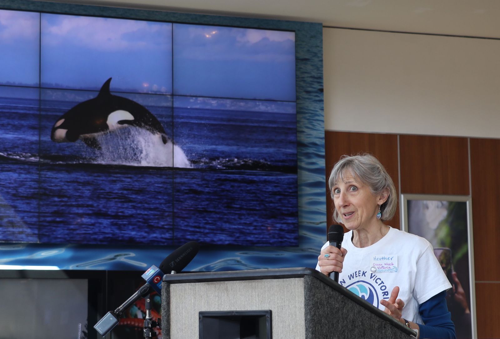 Brush up your Salish: Expand your vocabulary with these Coastal First ...