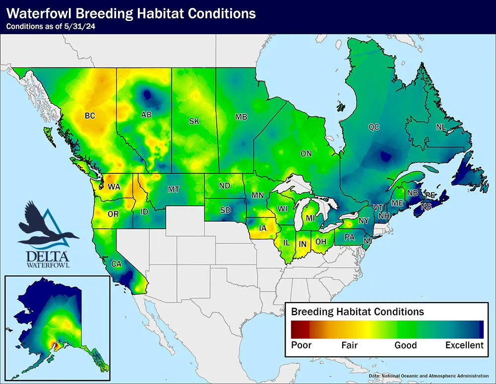 North Dakota Waterfowl Survey Shows Decrease in Breeding Ducks - Fair ...