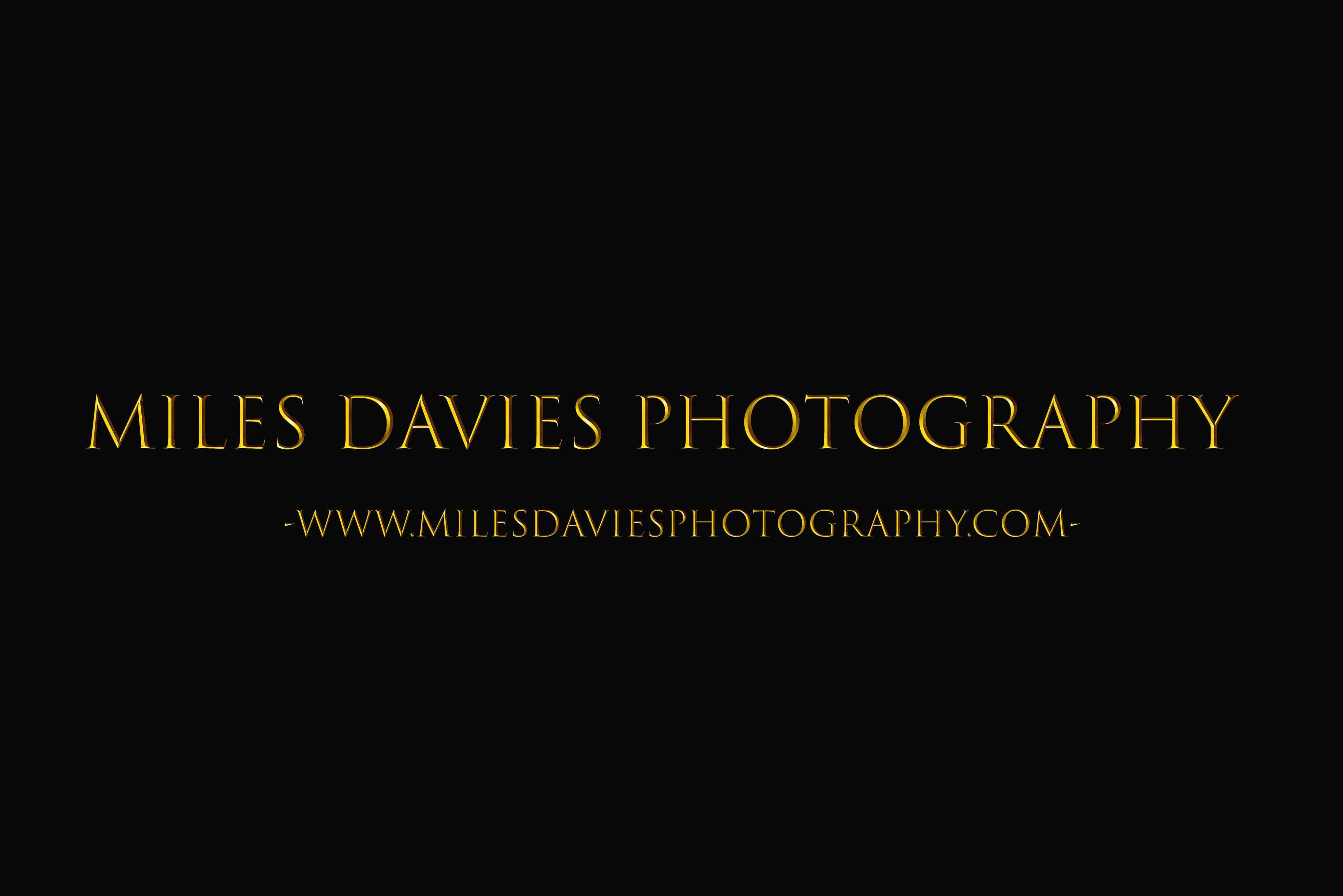 Miles Davis Photography | | The Brighton Academy