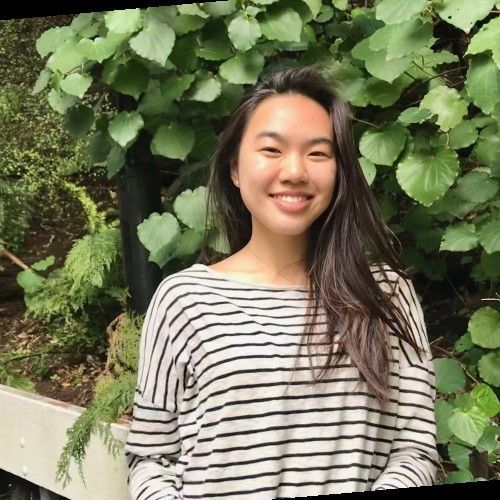 How to Create a Resource Utilization Plan in 3 Easy Steps | Runn