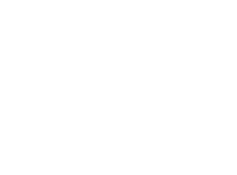 The Gibraltar Group, Life Insurance