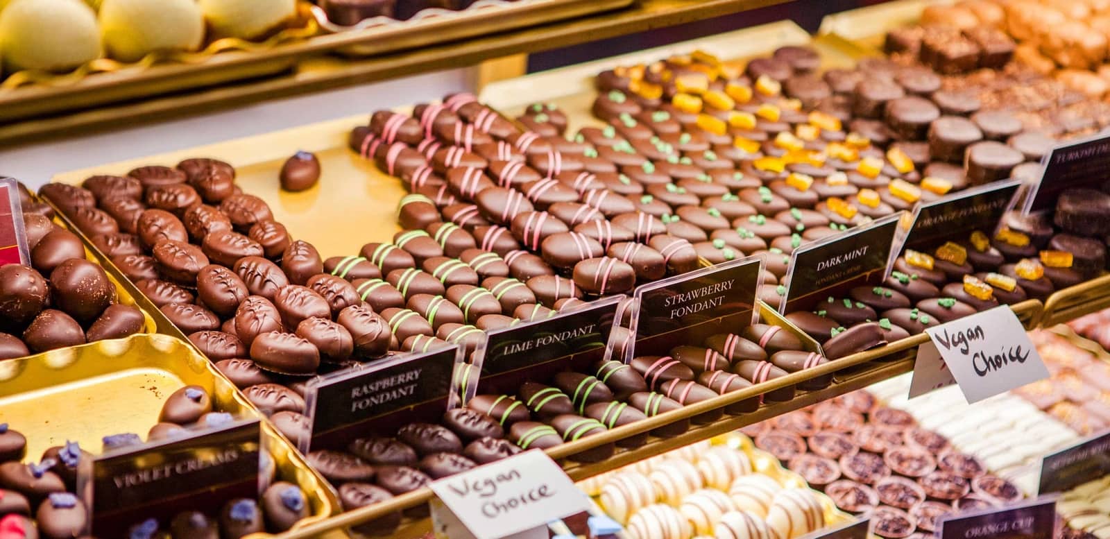 School Trips and Educational Travel | Adaptable Travel