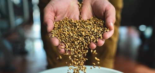 Bridger Brewing: Craft Beer and Award-Winning Pizza