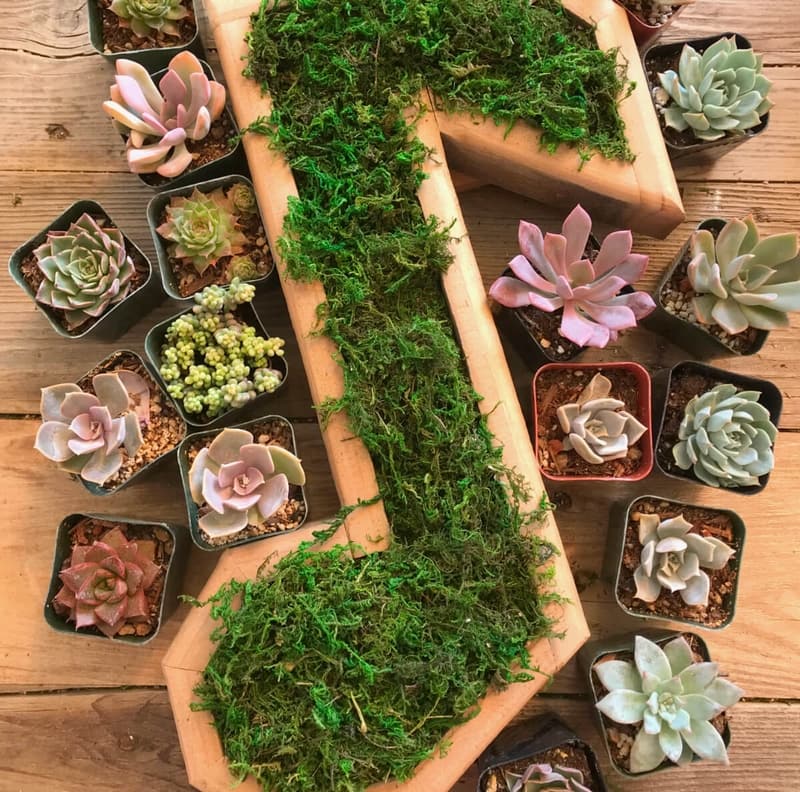 Kileen's Vertical Gardens