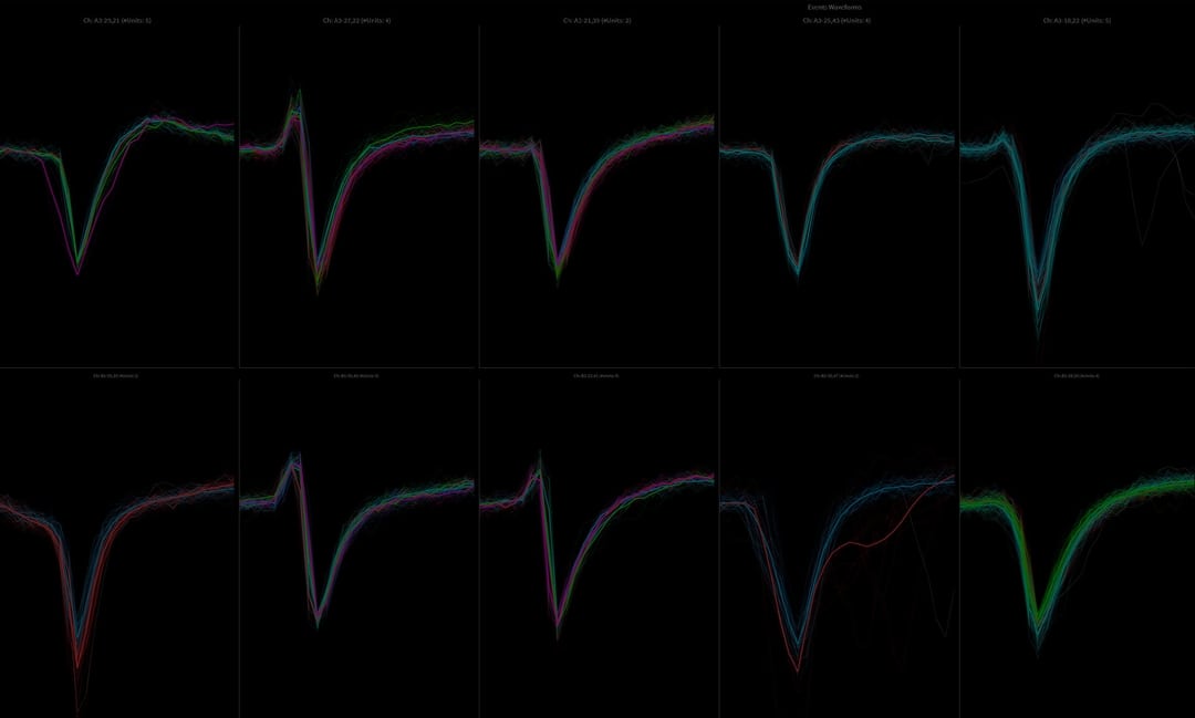 HD-MEA Software | BrainWave5 | 3Brain