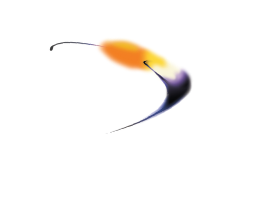 Employee Information