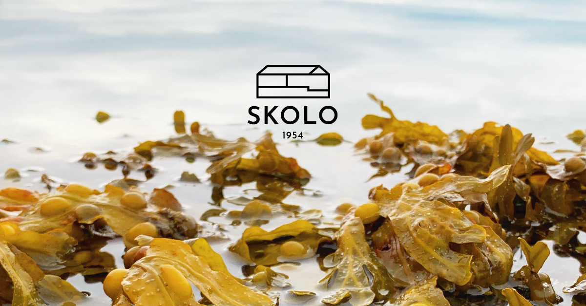 SKOLO - Helgelandskysten
