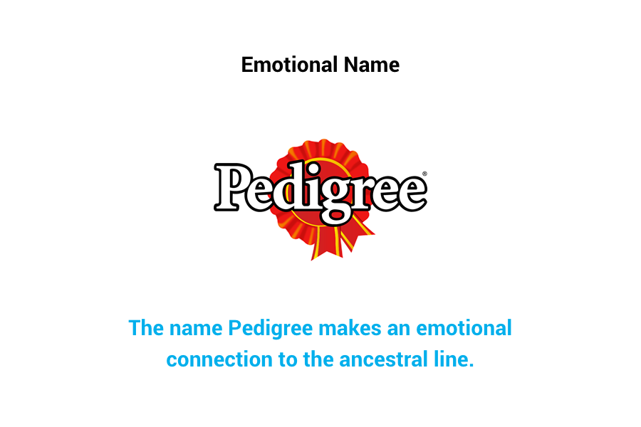 How To Choose A Company Name