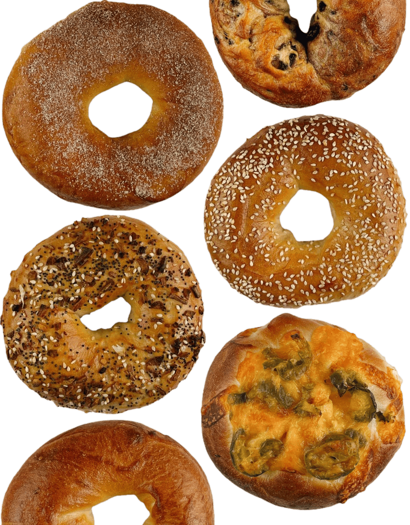 The Best Bagels in Pocatello | 5th Street Bagelry