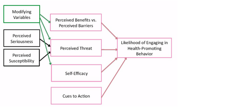 HAPA | Health Action Process Approach by Ralf Schwarzer