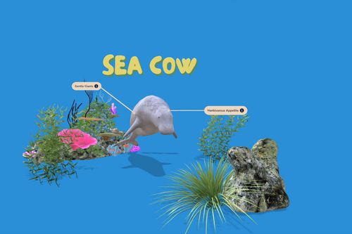 For Students | Assemblr EDU