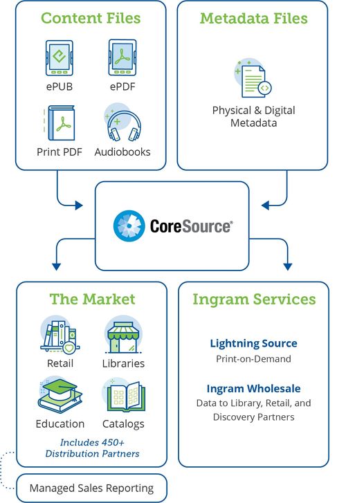 Digital Sales & Distribution