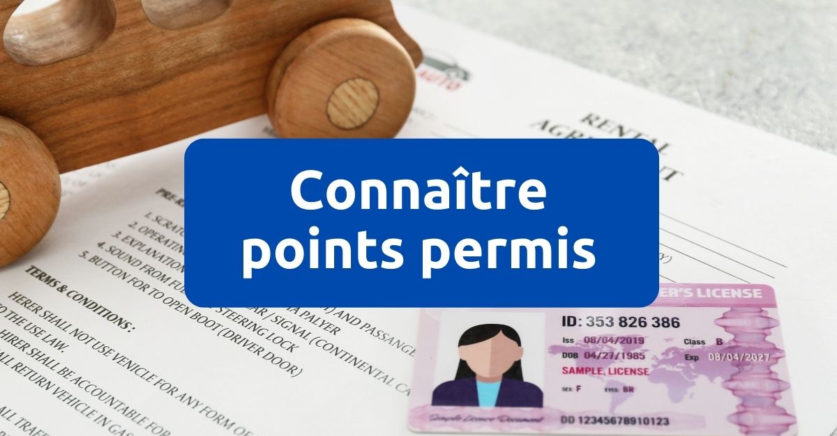 Solde de points permis : comment consulter rapidement en ligne