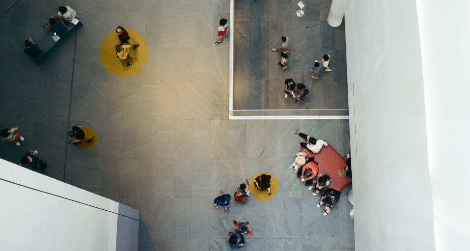 GrapeData | Global B2B Surveys | Surveys for Due Diligence