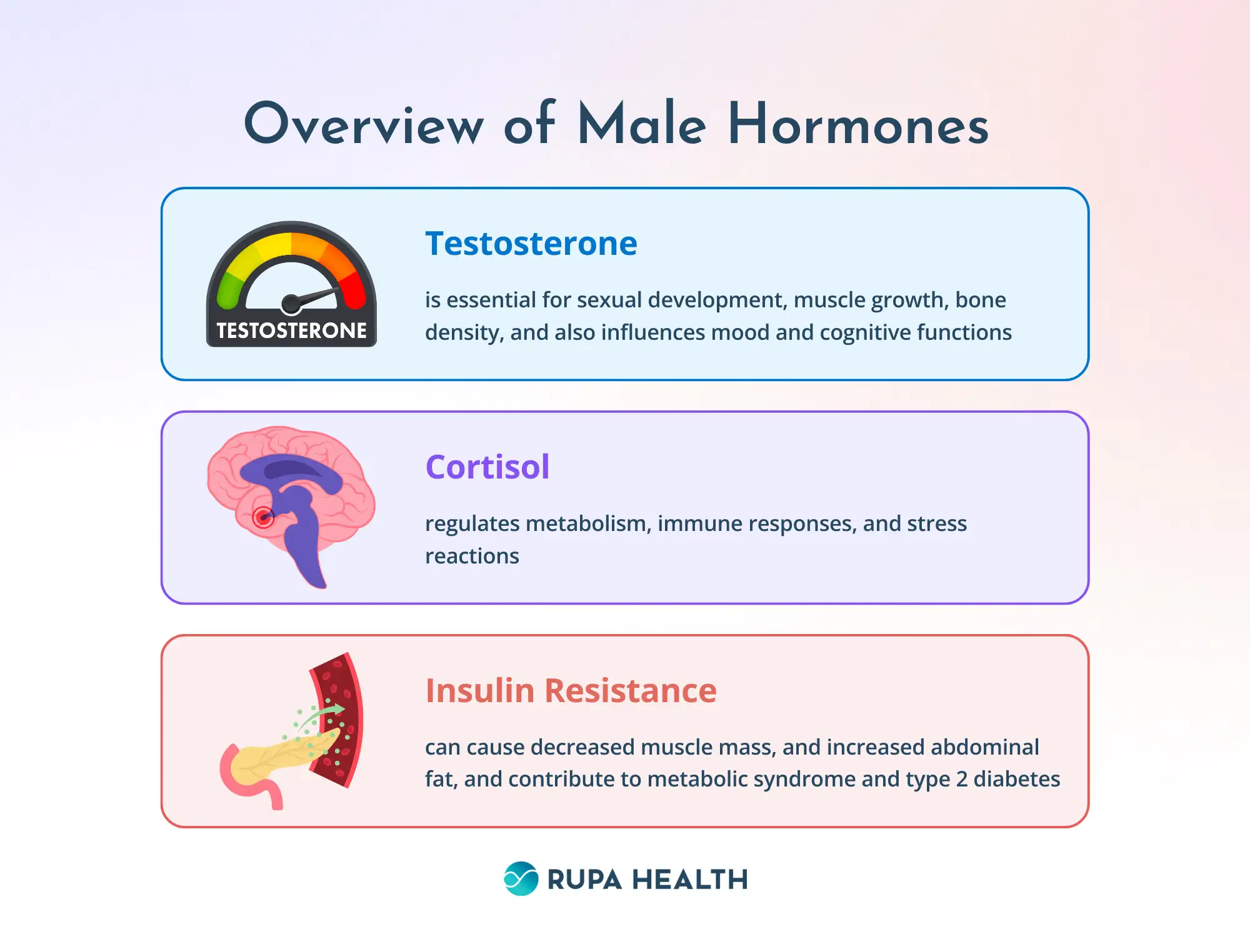 Exercise and Male Hormones: Functional Medicine Insights for Hormonal ...