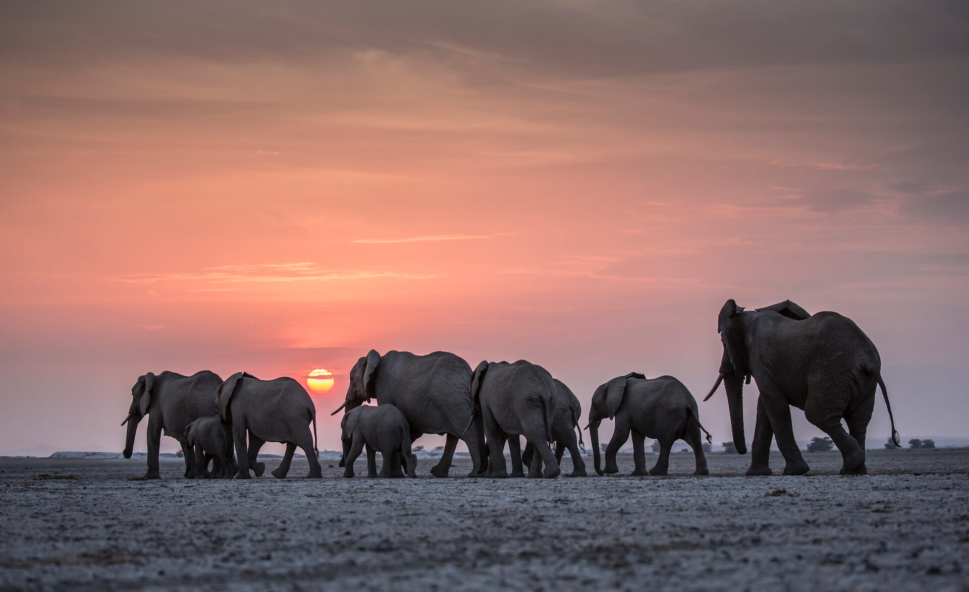 Alan Binks | Guide Profile | Ker & Downey Safaris