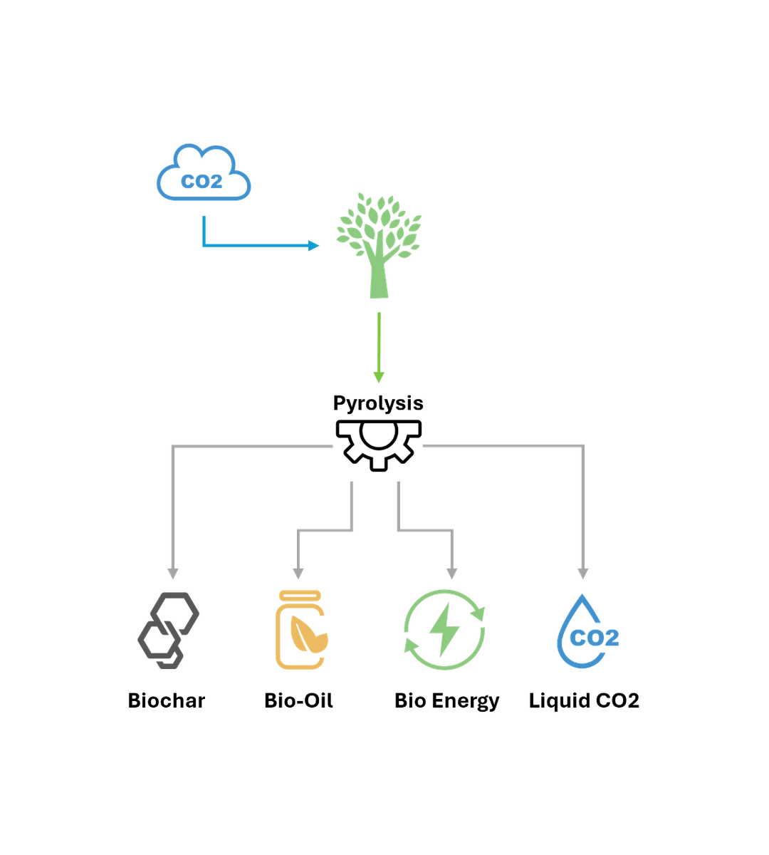 About GCS | Green Carbon Solutions