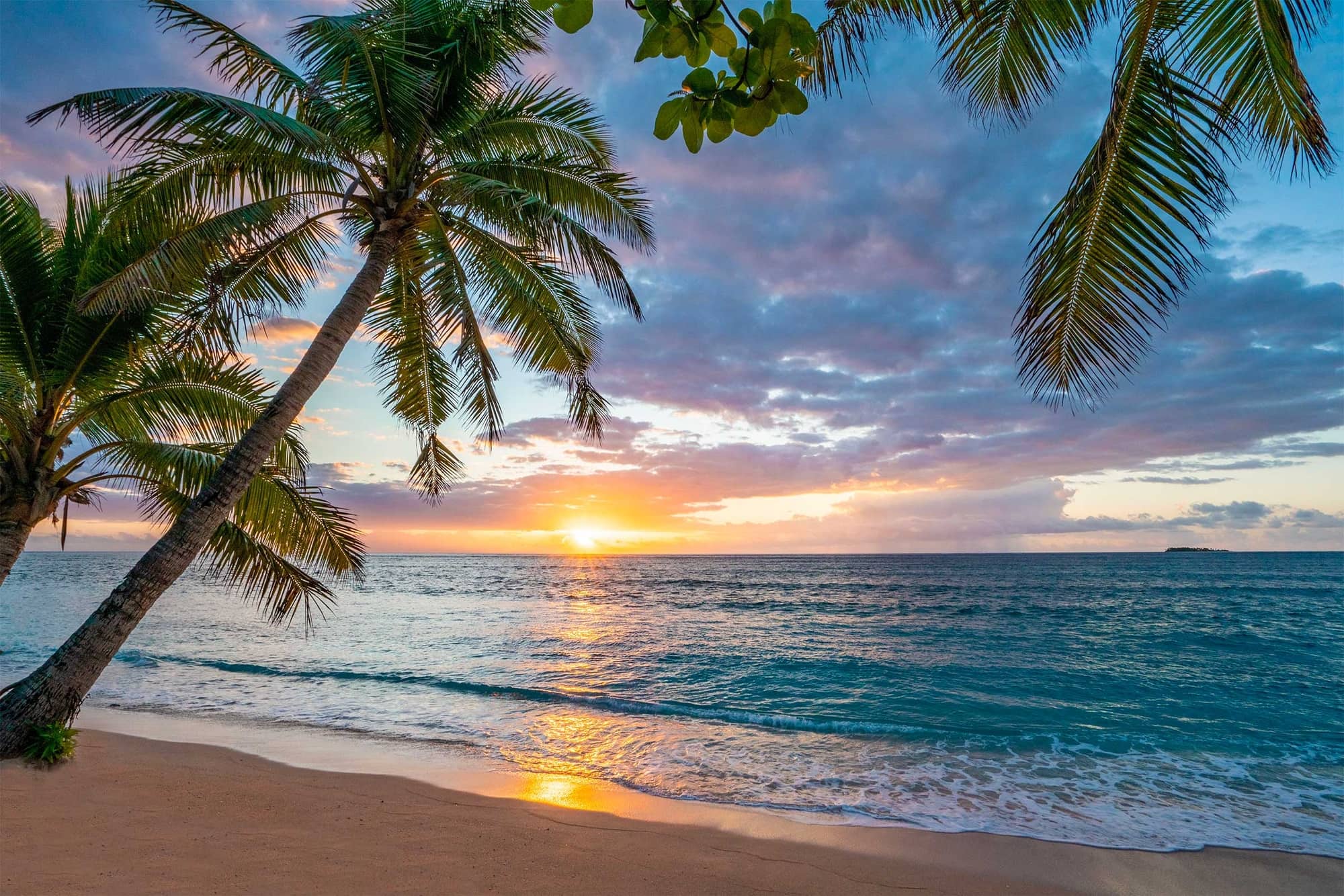 Tavarua Island Resort