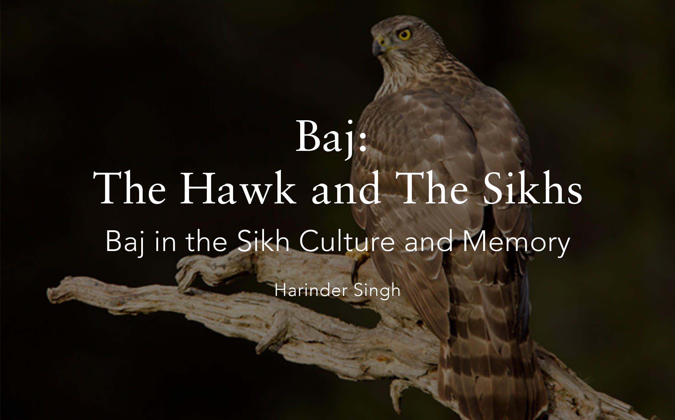 Baj: The Hawk and The Sikhs | Harinder Singh | Sikh Research Institute