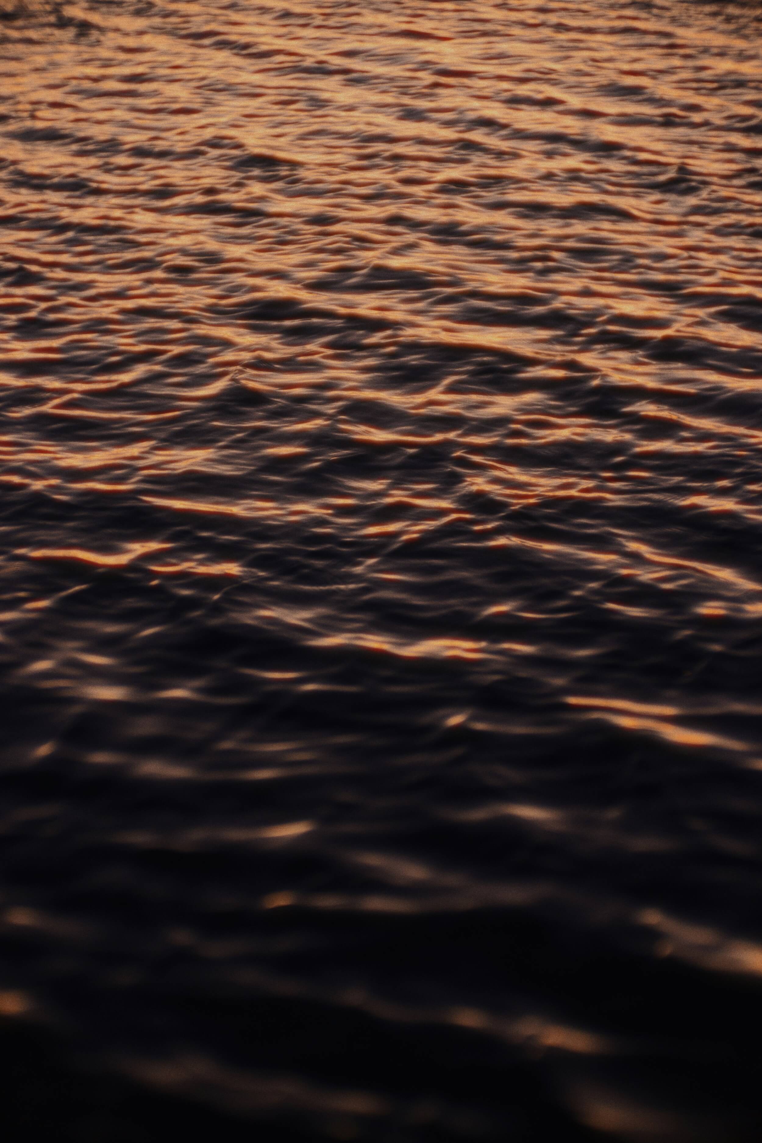 Transcending Maya: The Path to Divine Connection | Sikh Research Institute