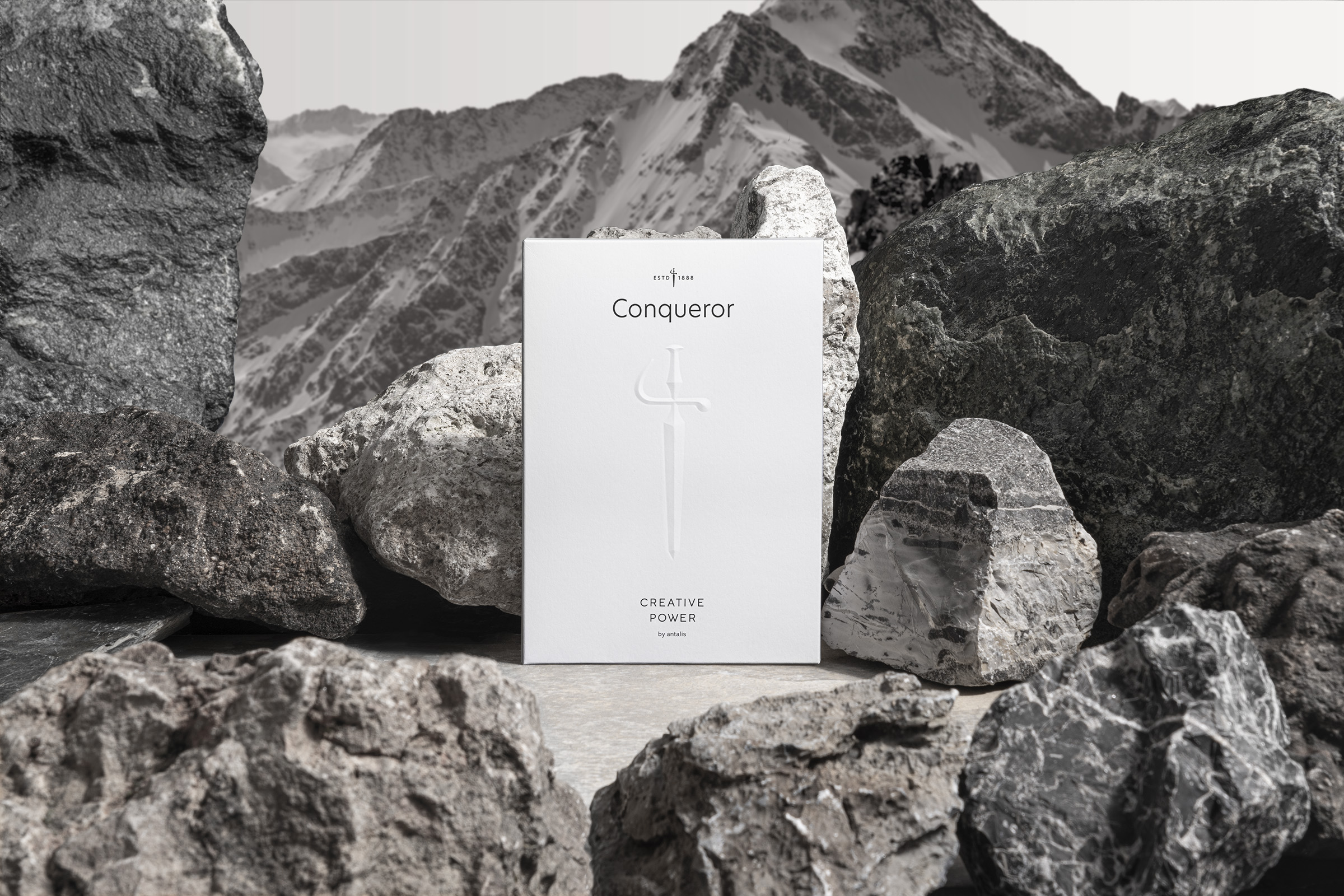 D&P Project - Conqueror