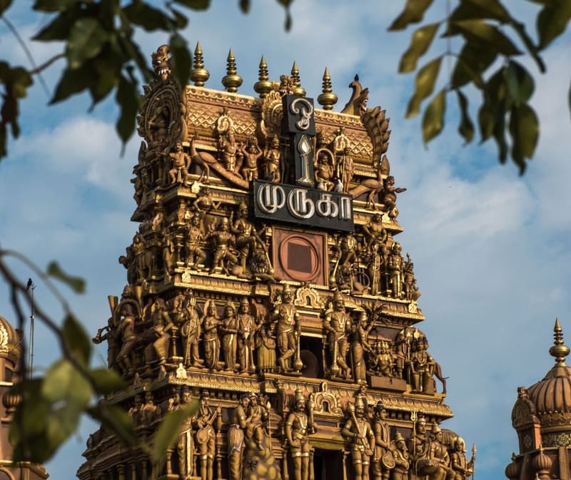 Fox Resorts Official Site - Chiq Boutique Hotels in Sri Lanka