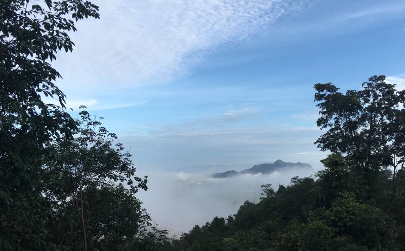 Gibbon Retreat | Low-impact Chalets & Villa Huts