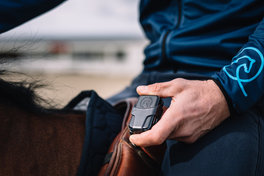 EQUIMO - horse training tracker, application and analysis