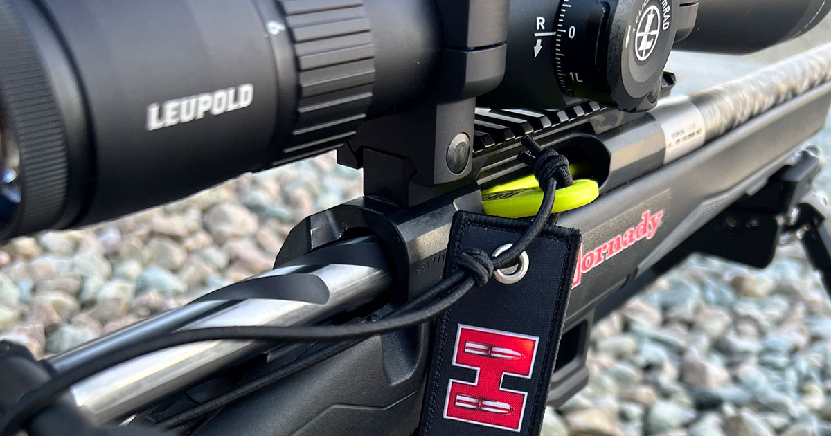 Mastering the Long-Range Game | Gun Talk News