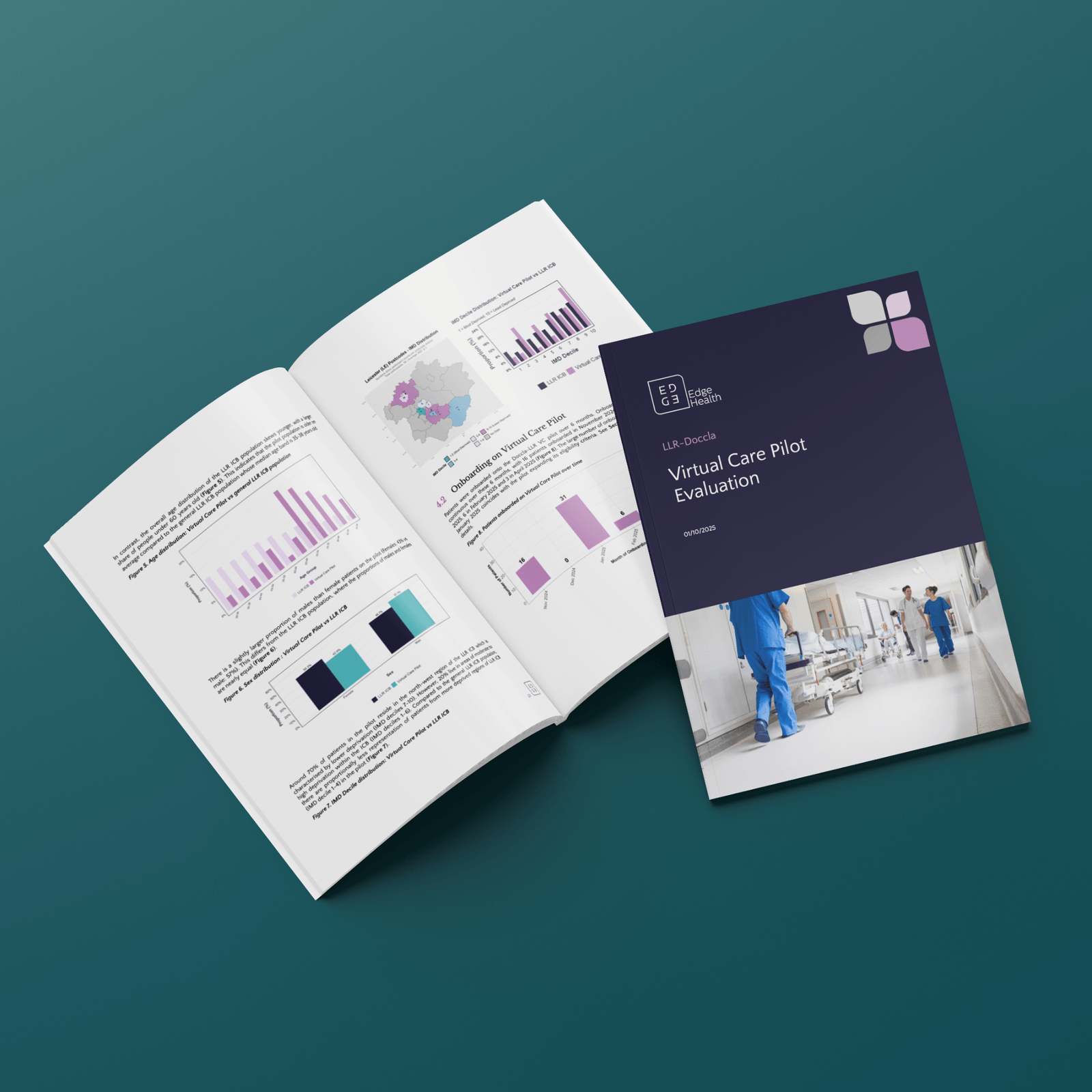 Download: LLR-Doccla Virtual Care Pilot Evaluation