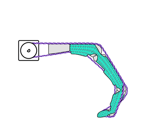 Allonic