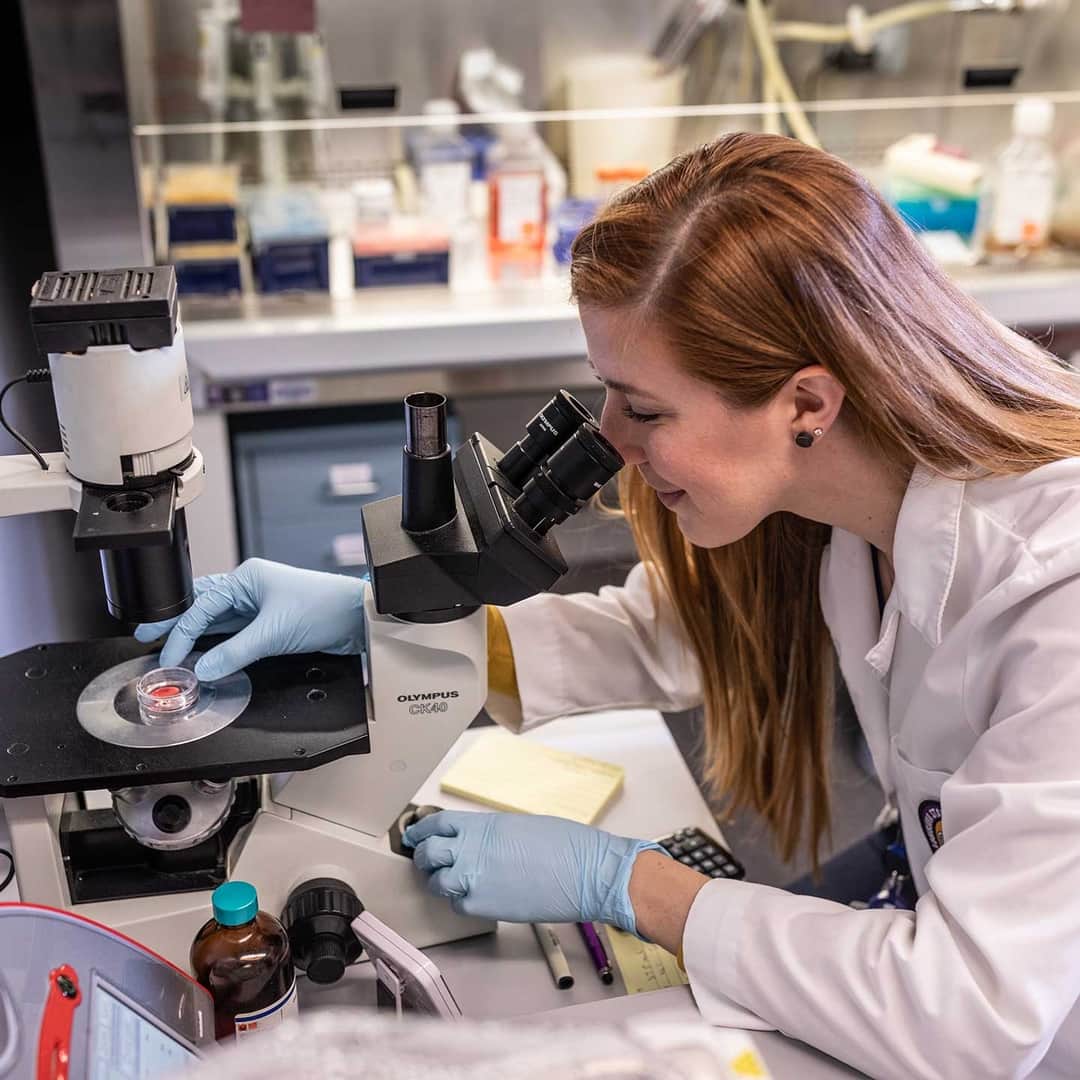 About | Louisiana Cancer Research Center