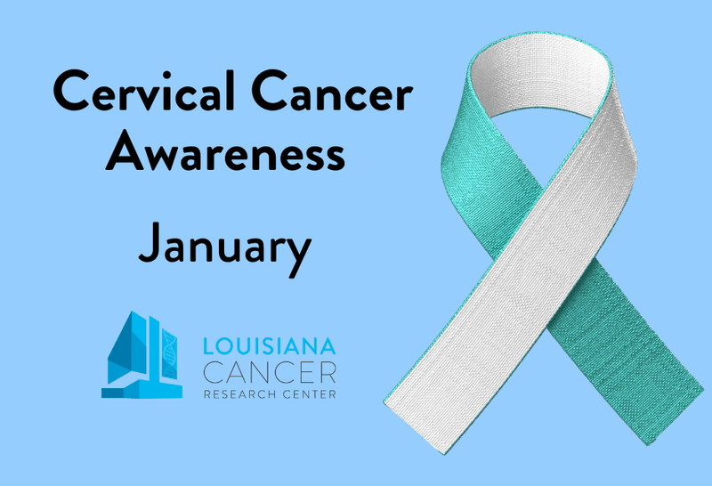 LCRC now accepting applications for Summer Undergraduate Cancer ...