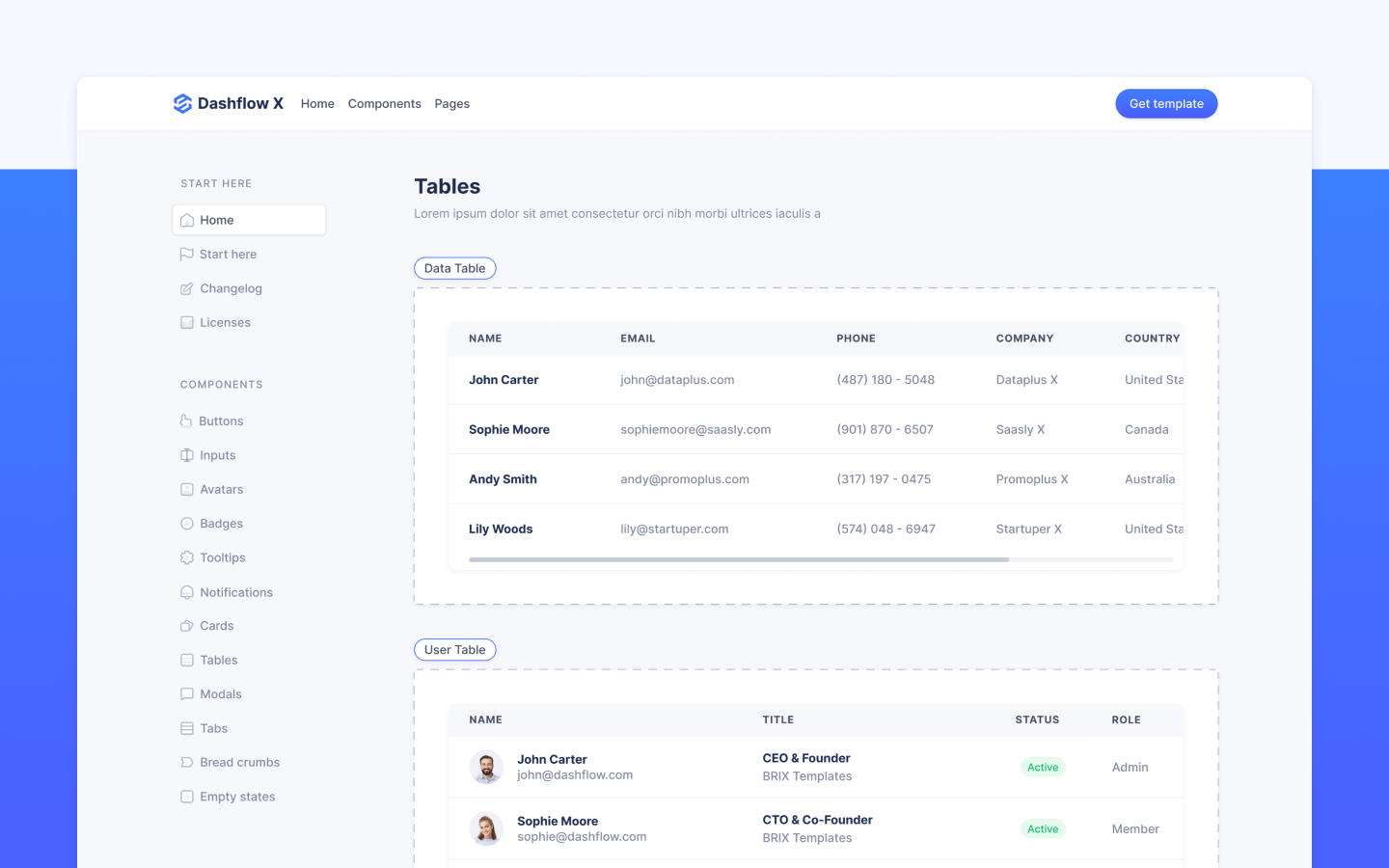 Dashflow X Website Page Template for Webflow