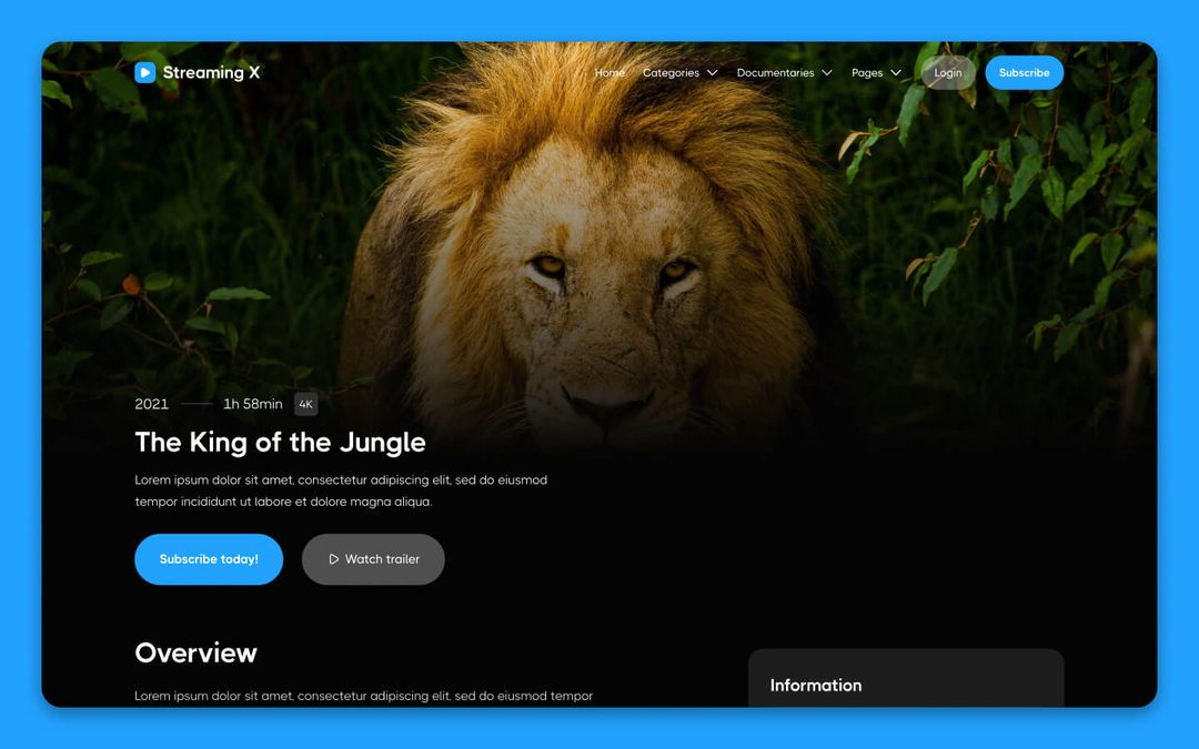 Streaming X Website Page Template for Webflow