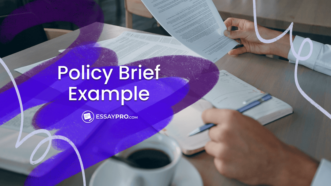 Policy Brief Example: Clear Structure with PDF for Free