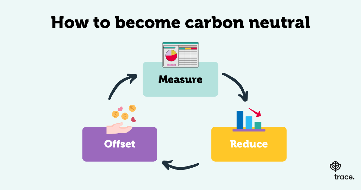 How to become a carbon neutral business, a step by step guide | Trace