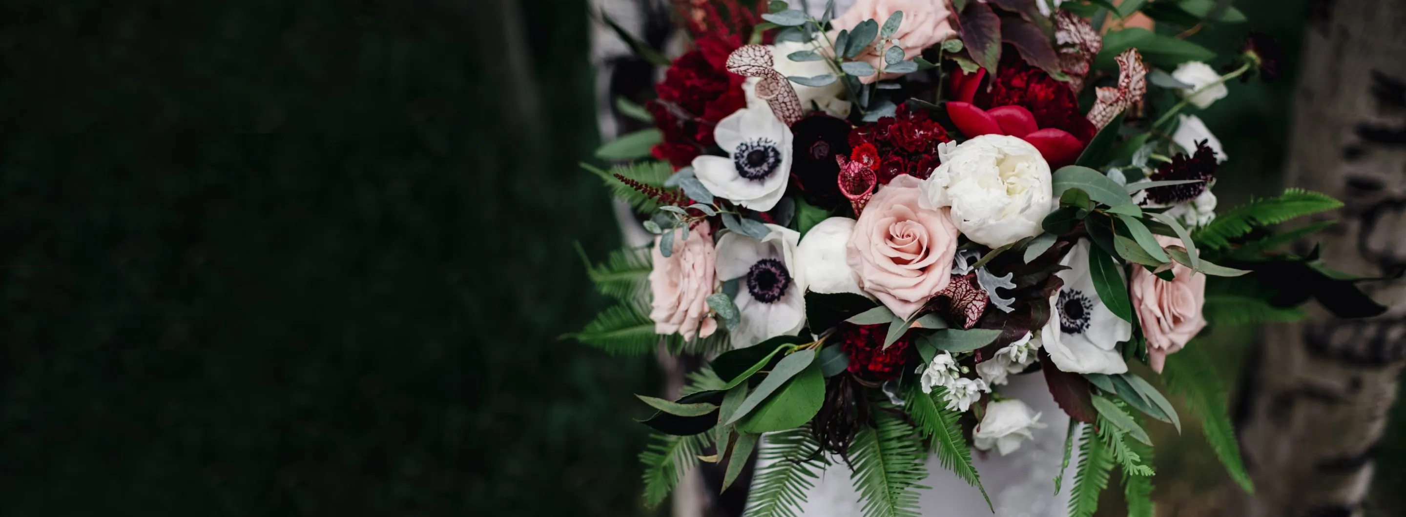 Portfolio Website | Create with ShootProof