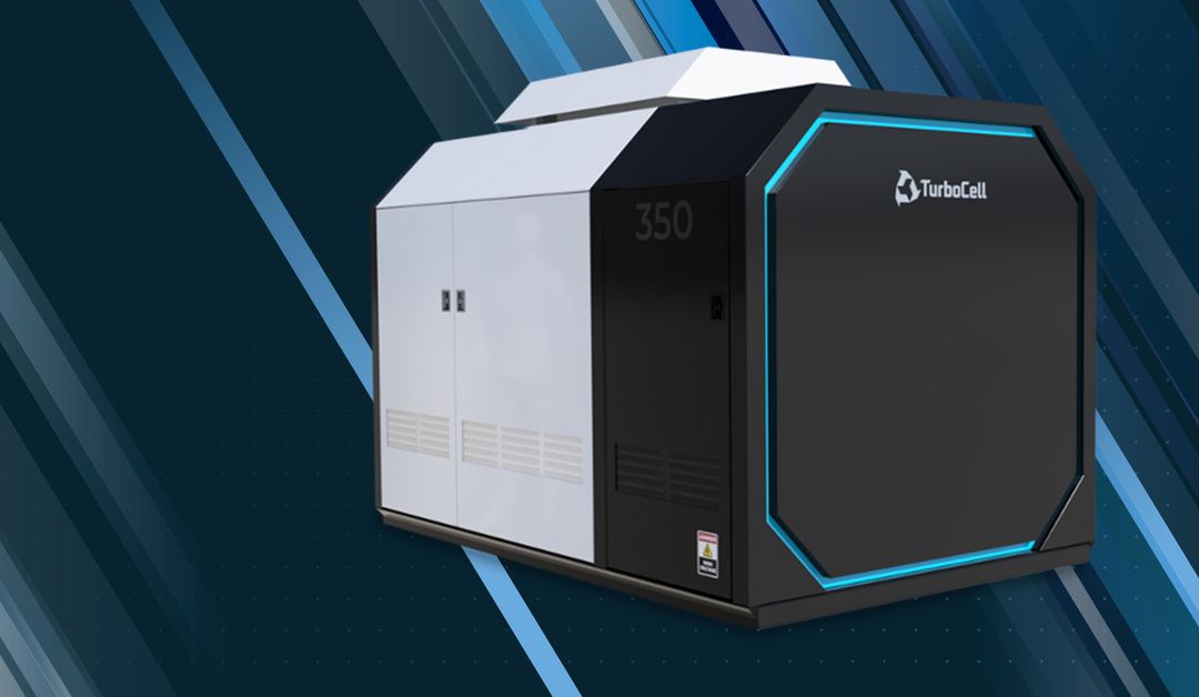 Endeavour | Our Companies