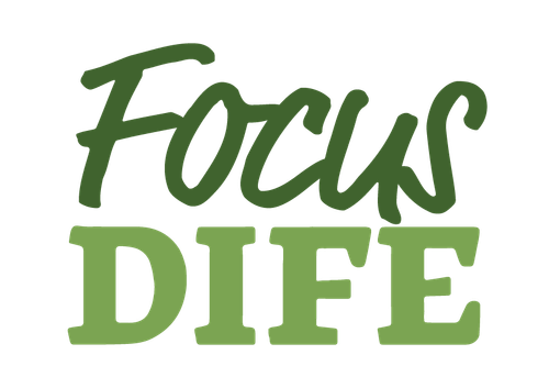 Gestione Deposito Temporaneo rifiuti | Dife Focus