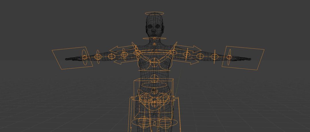 Everything You Need to Know About 3D Animation Rigs in 5 Minutes