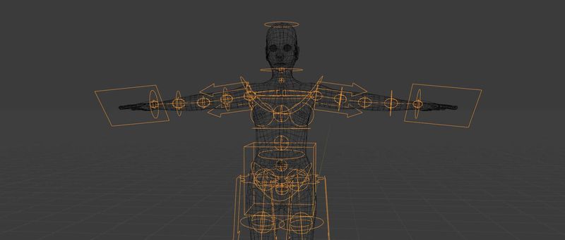 Everything You Need to Know About 3D Animation Rigs in 5 Minutes