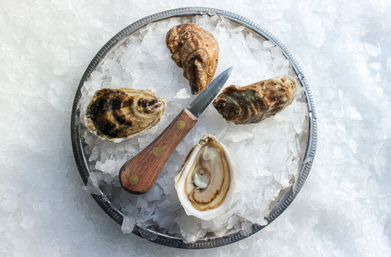 Spindrift Oyster — Oysterology Online | Pangea Shellfish Company