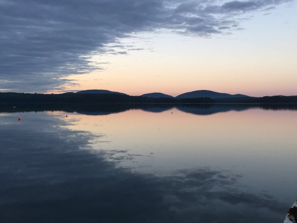 Mussel Flexing: Hollander and de Köning | Pangea Shellfish Company