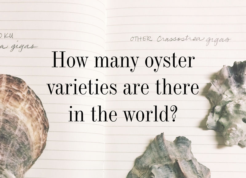 How many oyster varieties are there in the world? | Pangea Shellfish ...