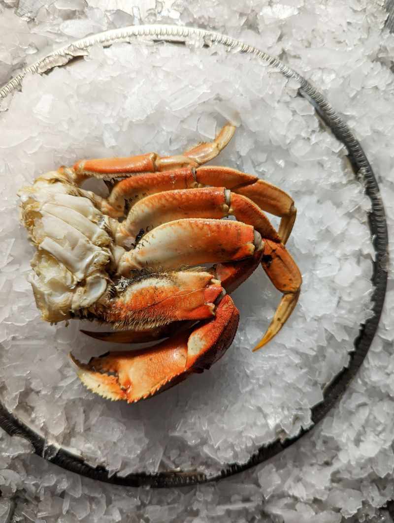 Combo Meat — Products | Pangea Shellfish Company