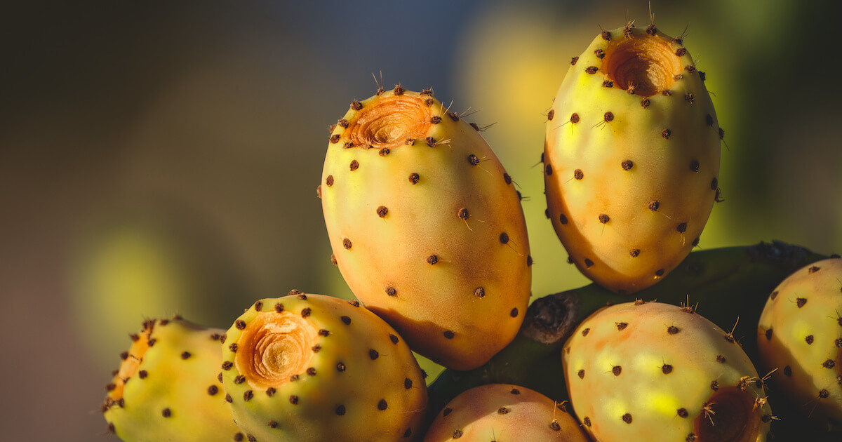 PCOS Pain: Understanding Your Symptoms & Treatment Options