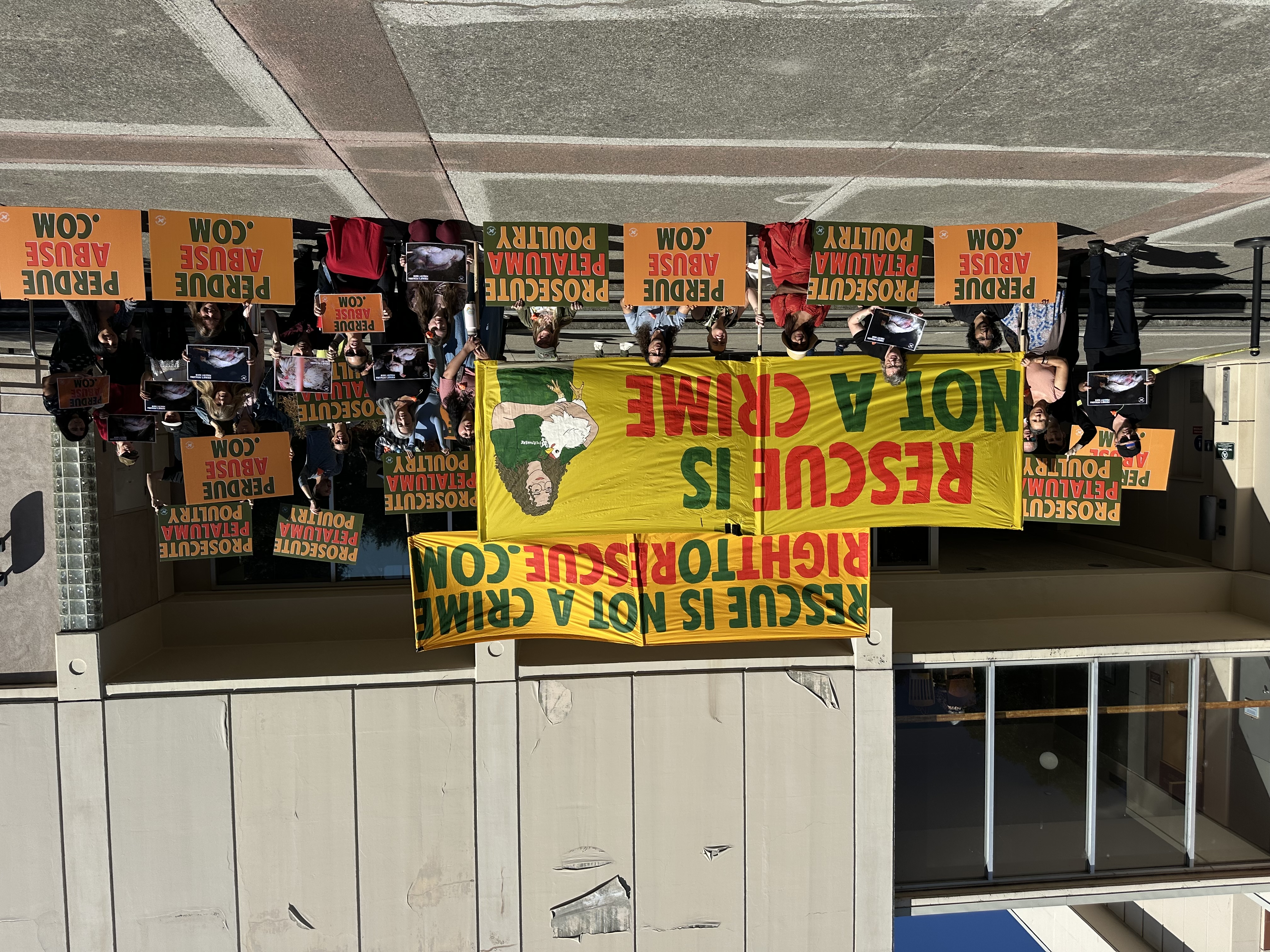 Perdue Rescue Trial Court Watch - Week 2: Sept 22nd-27th, 2025