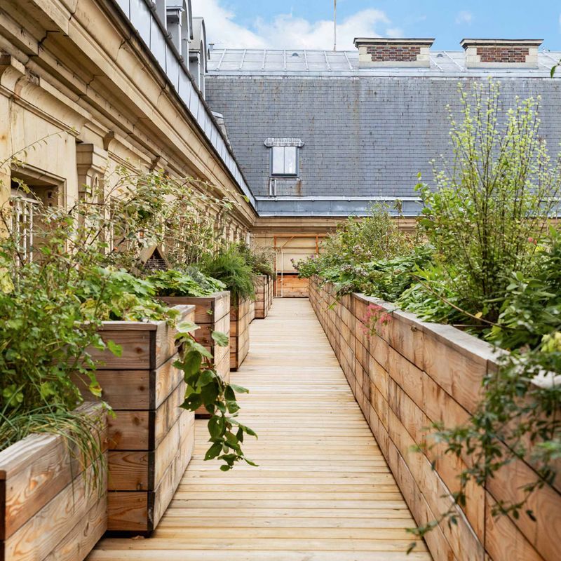 Roofscapes Studio - Toitures végétalisées innovantes à Paris